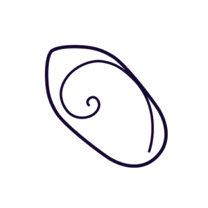 VibeTracker Spiral – Raise Your Vibration and Manifest More – VibeTracker