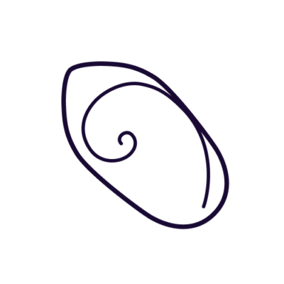 VibeTracker Spiral – Raise Your Vibration and Manifest More – VibeTracker